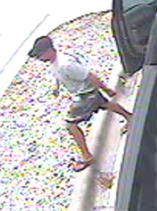 Ice theft at Circle K